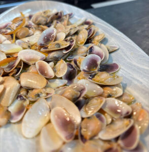 Reservas - La colonia de Carmela